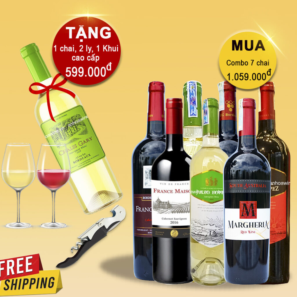 Combo 7 Chai Vang Pháp - Chile - An Hòa Wine